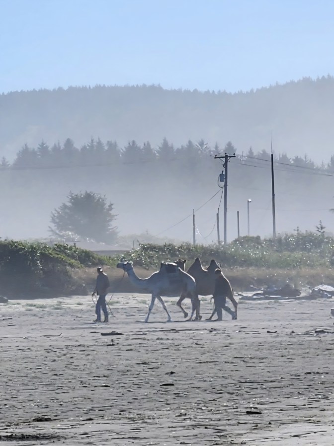 Pacific Northwest Road Trip: Day 10 – The Wallace Adventure!